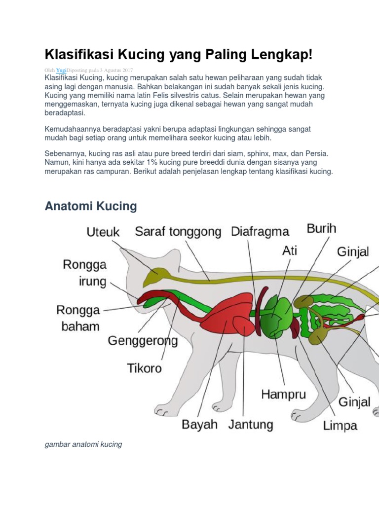 Klasifikasi Kucing | PDF