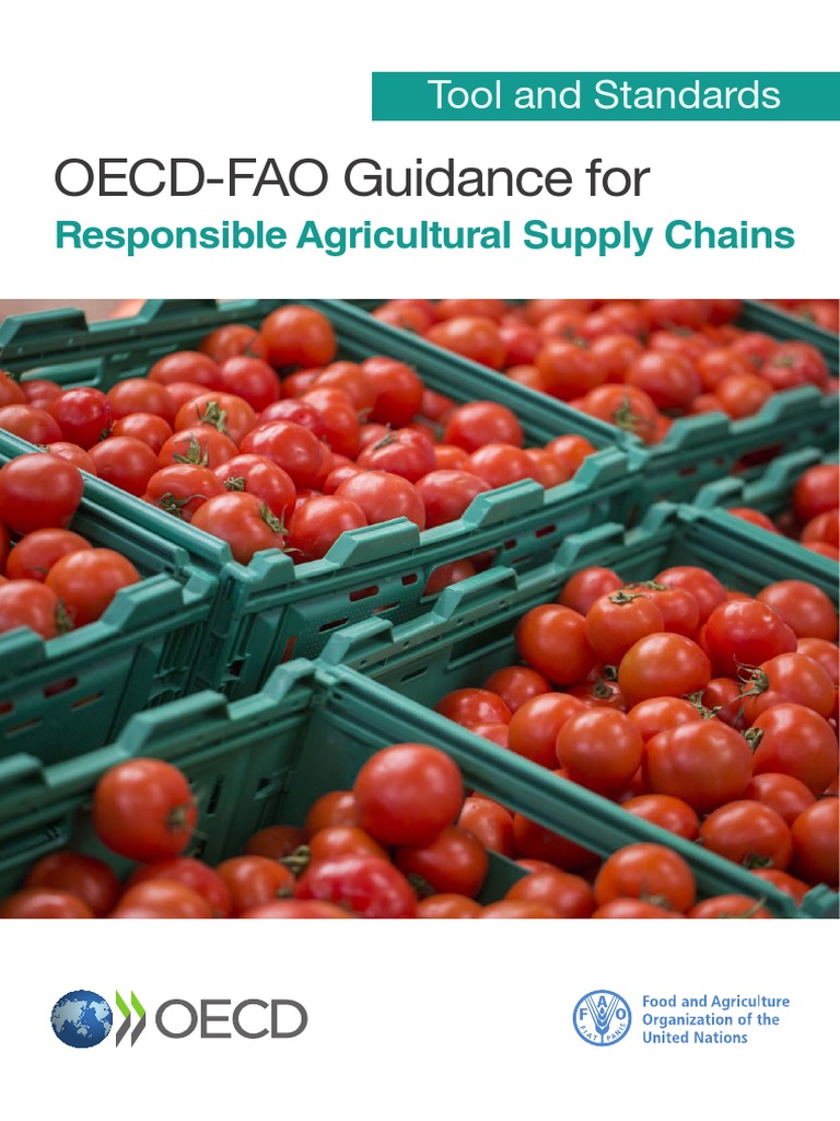OECD FAO Guidance Tools and Standards | PDF | Fair Trade | Governance