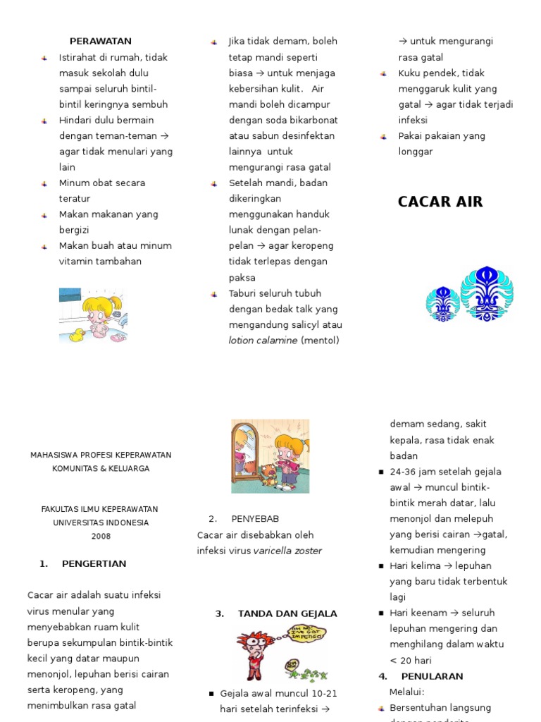 Leaflet Cacar Air | PDF