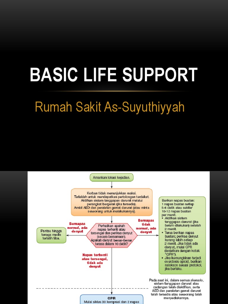 The Fundamentals of Cardiopulmonary Resuscitation: Basic Life Support ...