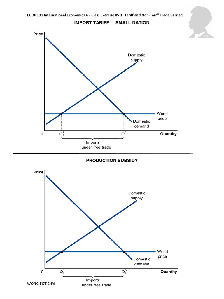 Lesson Activity #5.1 - Tariff and Non-Tariff Trade Barriers Worksheet | PDF
