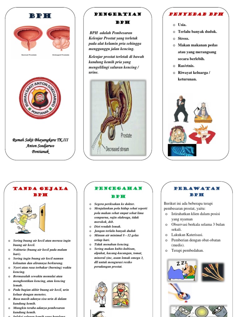 Leaflet-BPH | PDF | Kesehatan Holistik