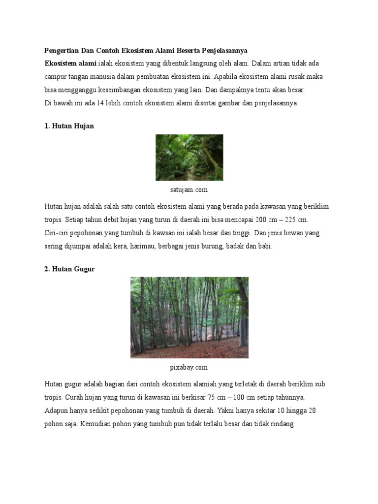 Macam Macam Ekosistem | PDF