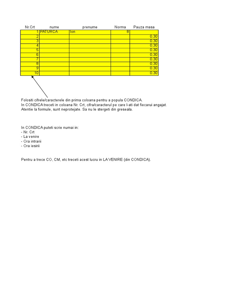 Condica Prezenta Pontaj Model
