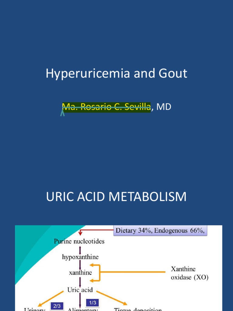 Hyperuricemia and Gout: Causes, Treatment, Guidelines | PDF