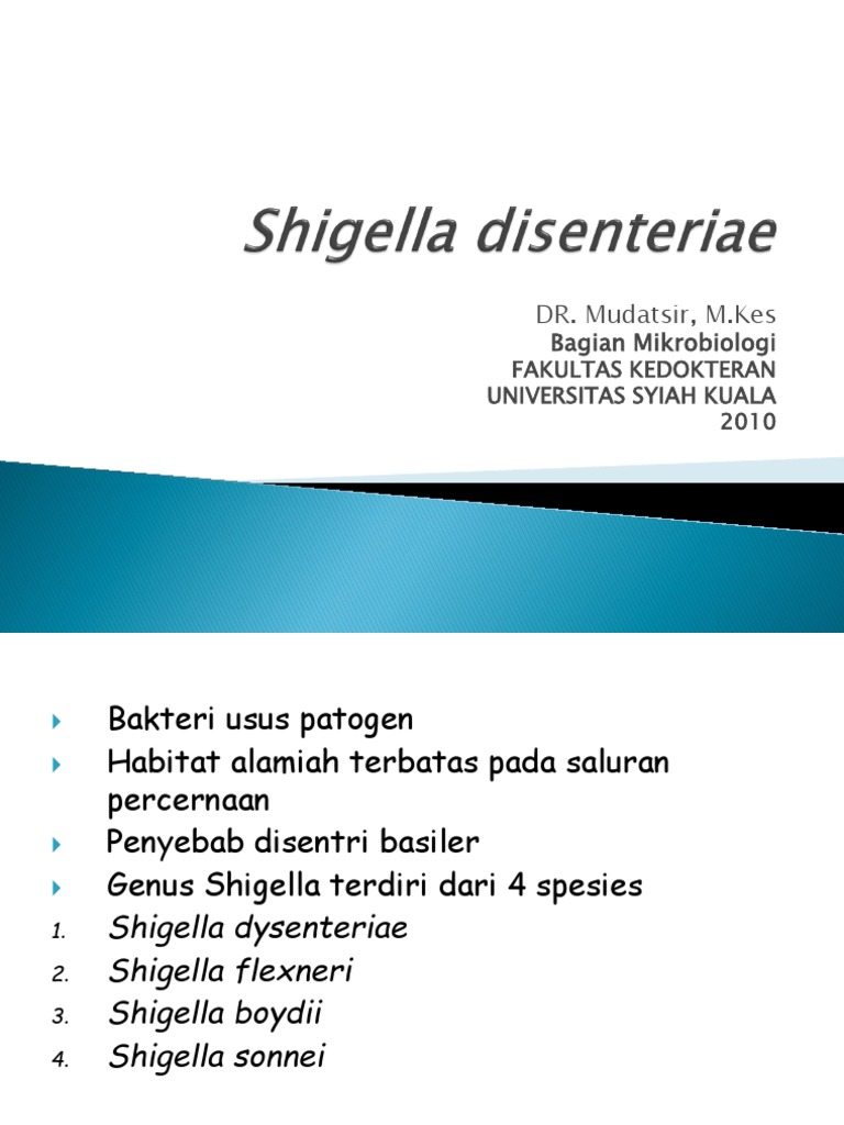 Bakteri Shigella: Penyebab Disentri Basiler | PDF