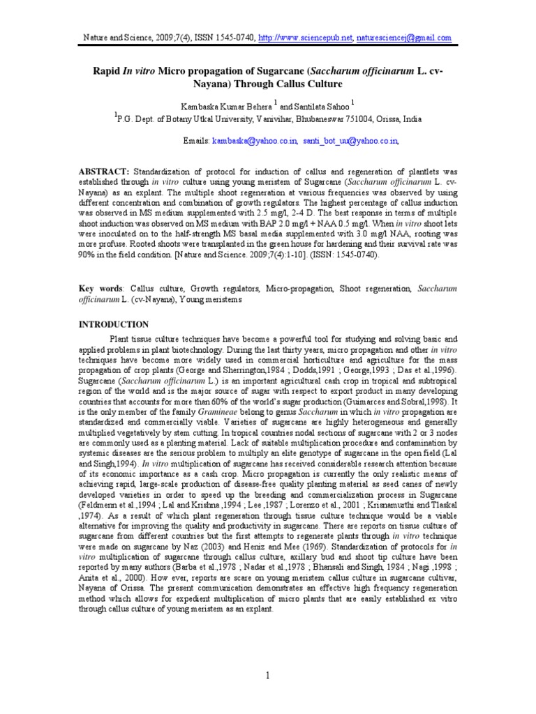 Rapid in Vitro Micro Propagation of Sugarcane (Saccharum Officinarum L. Cv-Nayana) Through ...