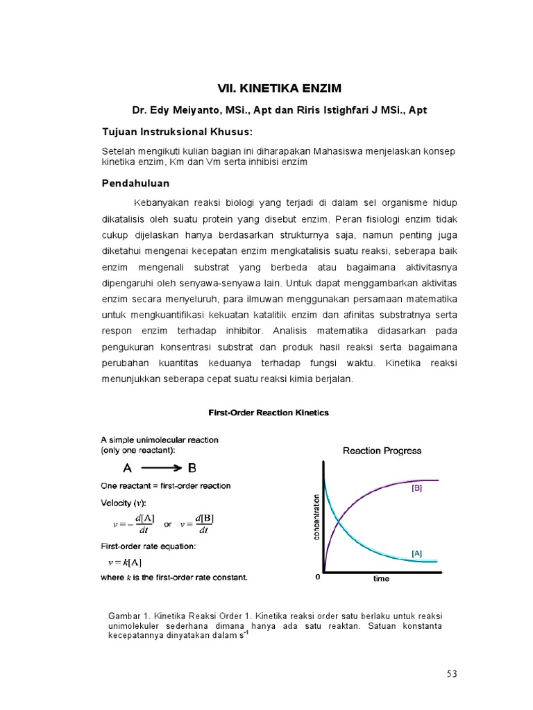 Vii Kinetika Enzim | PDF | Sains & Matematika