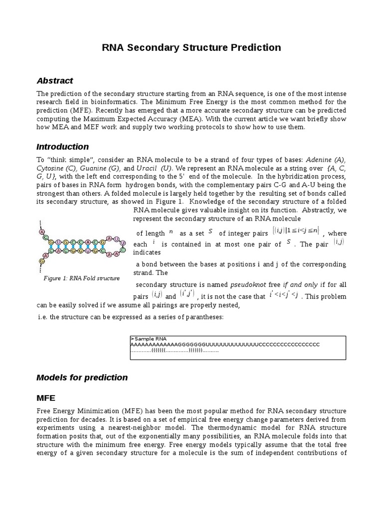 Secondary Structure Prediction | PDF | Biomolecular Structure | Dynamic ...