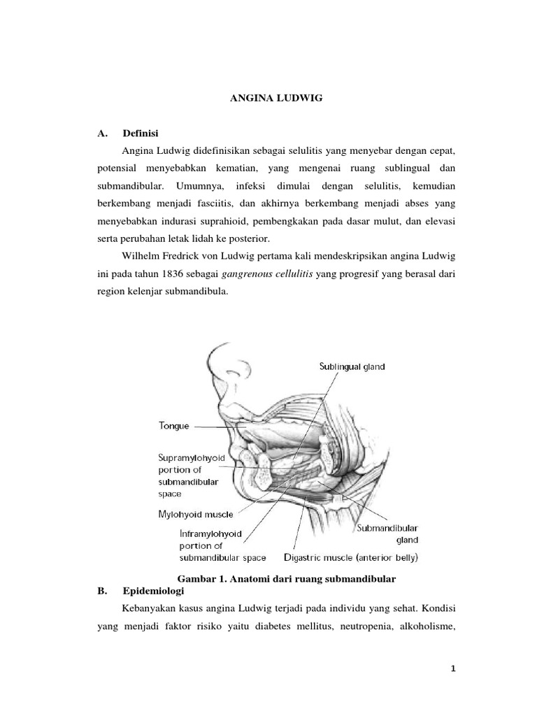 Angina Ludwig Fix | PDF | Kesehatan Holistik