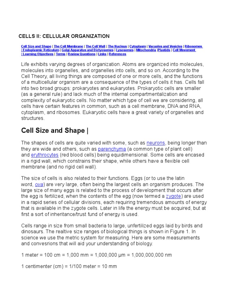 Cell Size and Shape - : Cells Ii: Cellular Organization | Download Free ...