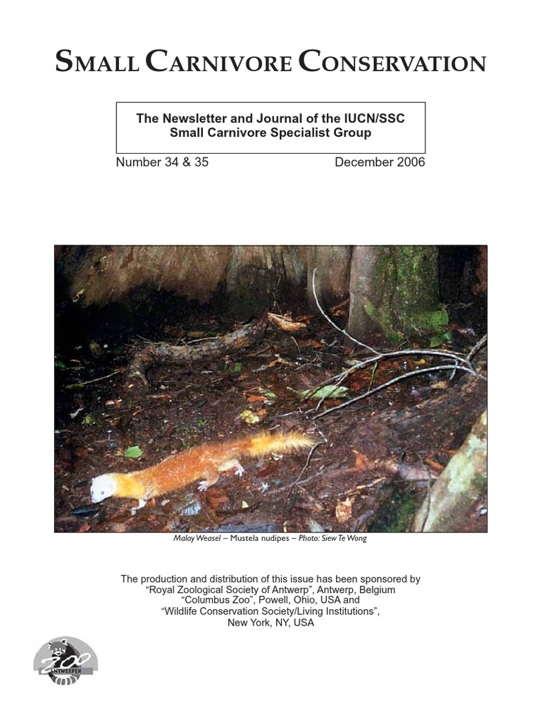Small Carnivore Conservation | PDF | Forests | Malaysia