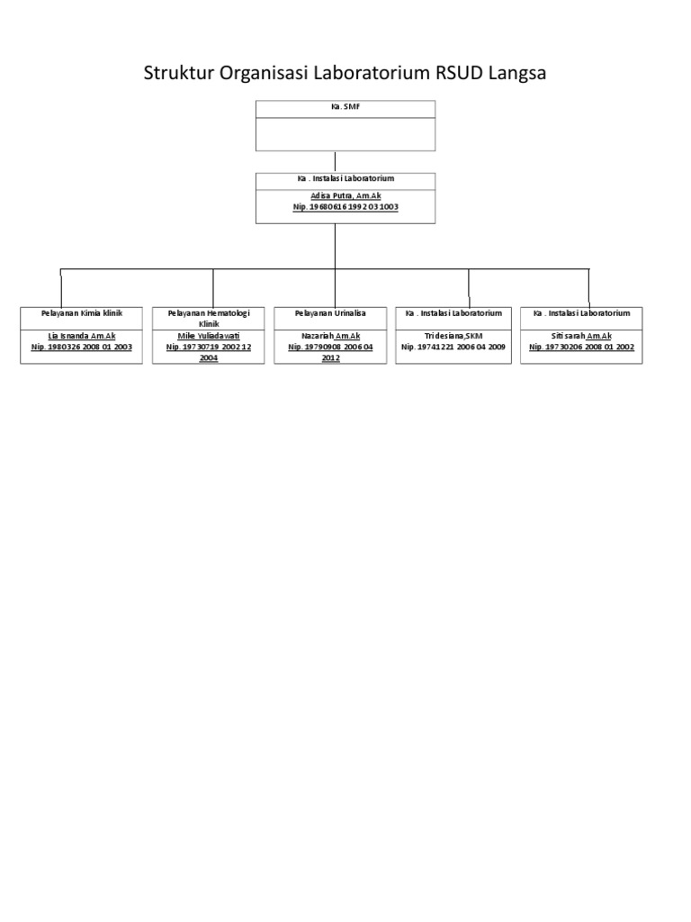 Struktur Organisasi Laboratorium RSUD Langsa | PDF