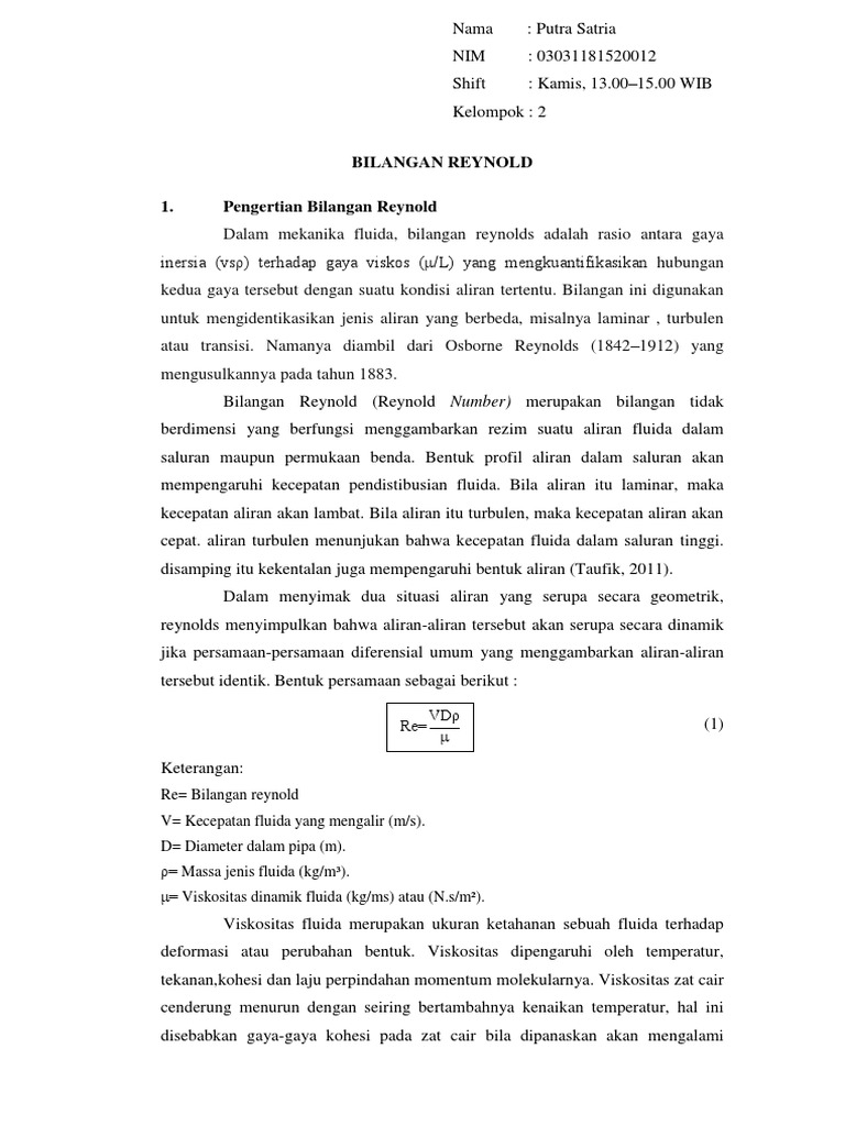 Bilangan Reynold by Putra Satria | PDF