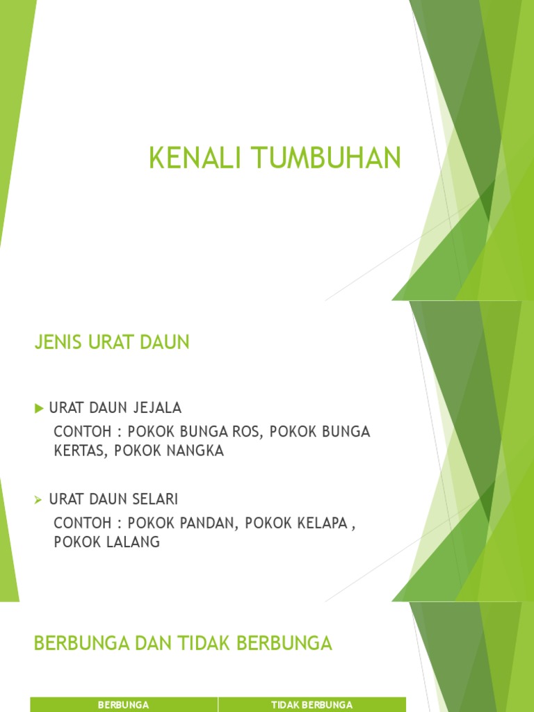 Kenali Tumbuhan | PDF