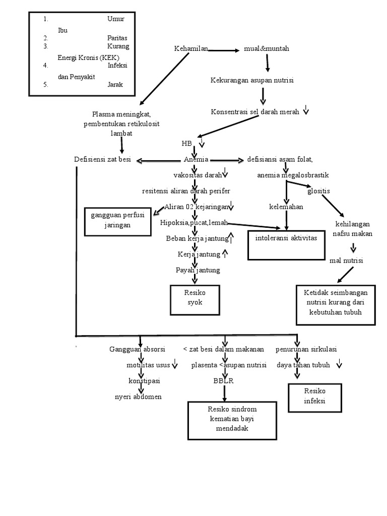 Pathway Anemia Ibu Hamil | PDF