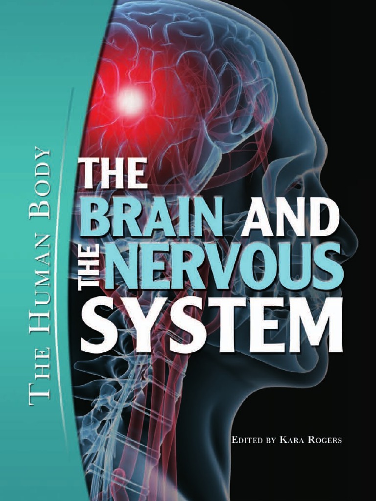 Brain | PDF