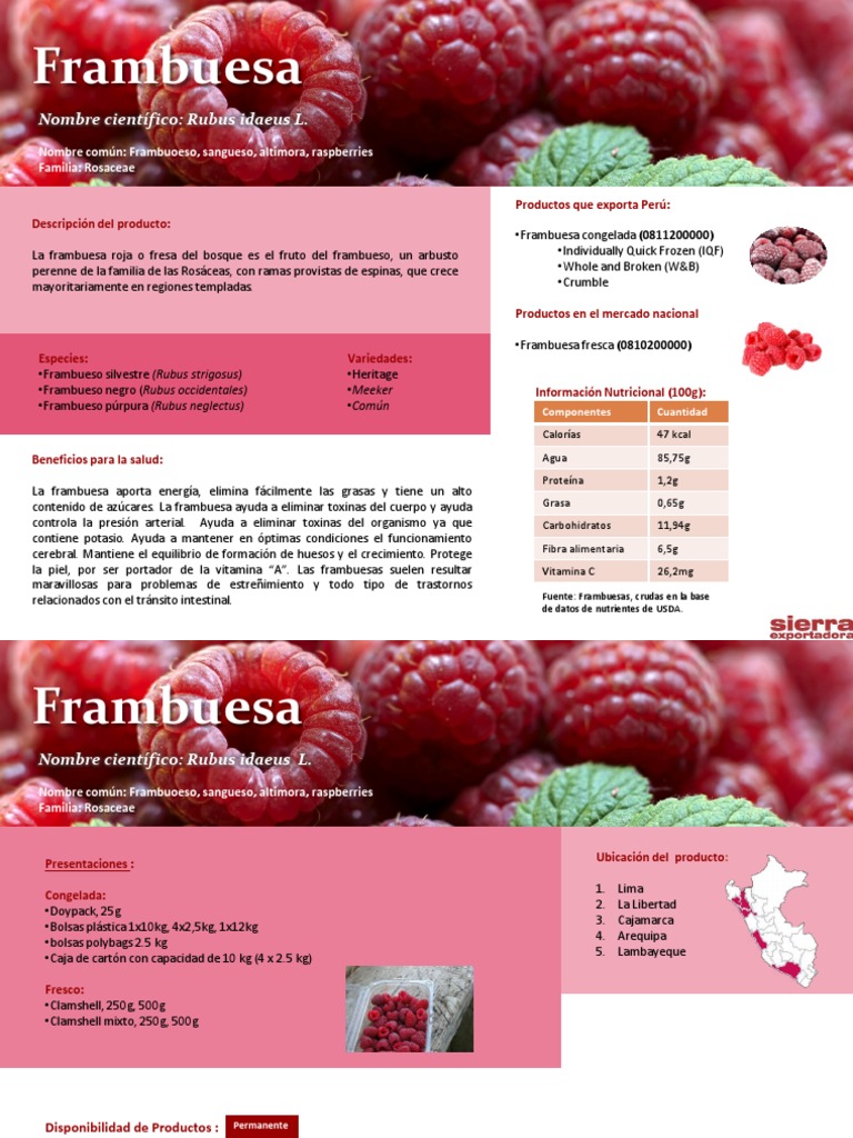 Beneficios y propiedades de la frambuesa | PDF | Nutrientes | Comida y ...