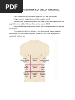 4 Kuadran dan 9 Regio Pada Abdomen | PDF