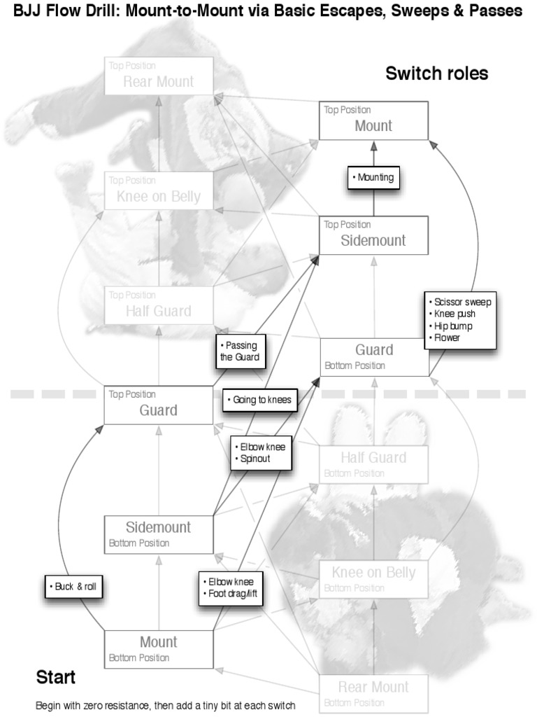 BJJ Flow Drill PDF | PDF | Gendai Budo | Japanese Martial Arts