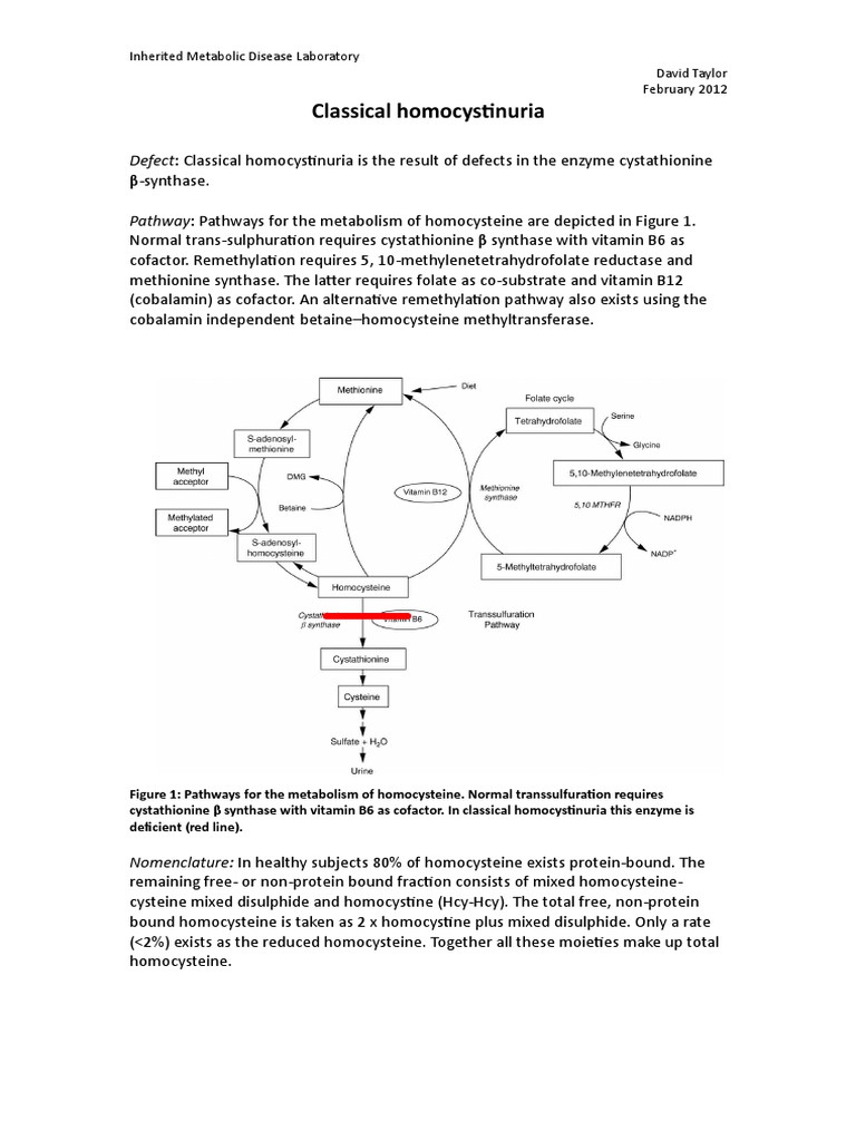 Classical Homocystinuria Disorder Summary | Clinical Medicine ...