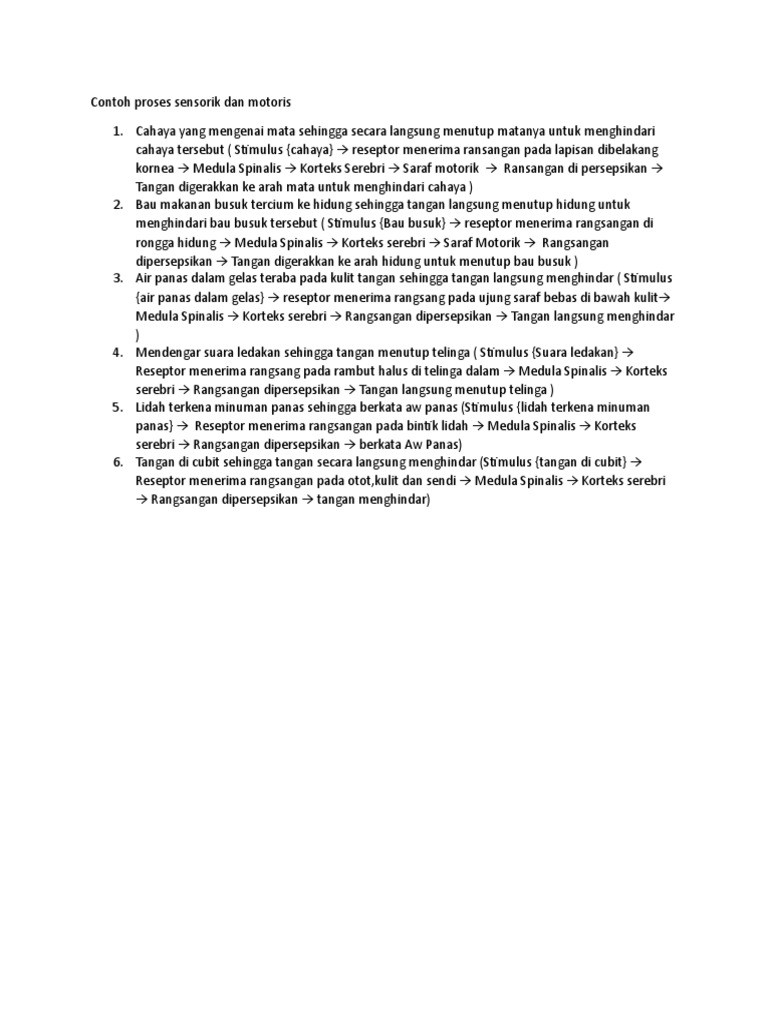 Contoh Proses Sensorik Dan Motoris | PDF