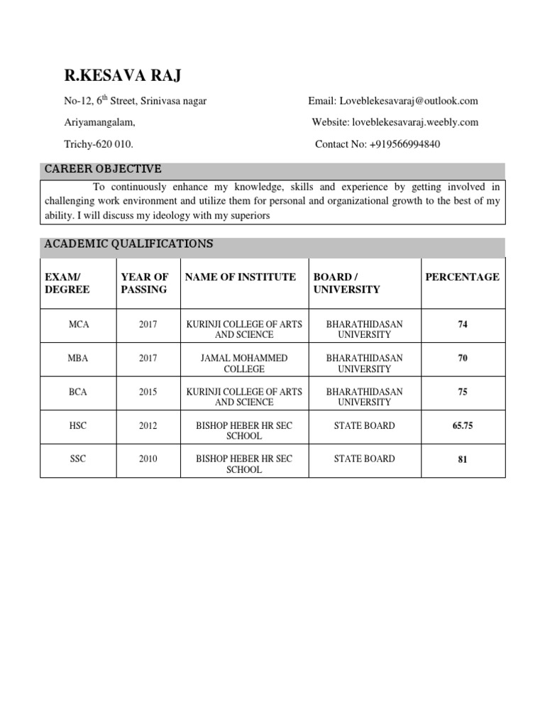 Normal Resume | Download Free PDF | Computing And Information ...