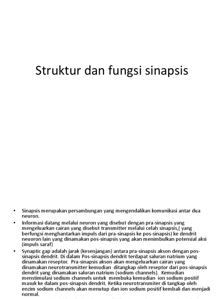 Struktur Dan Fungsi Sinapsis | PDF