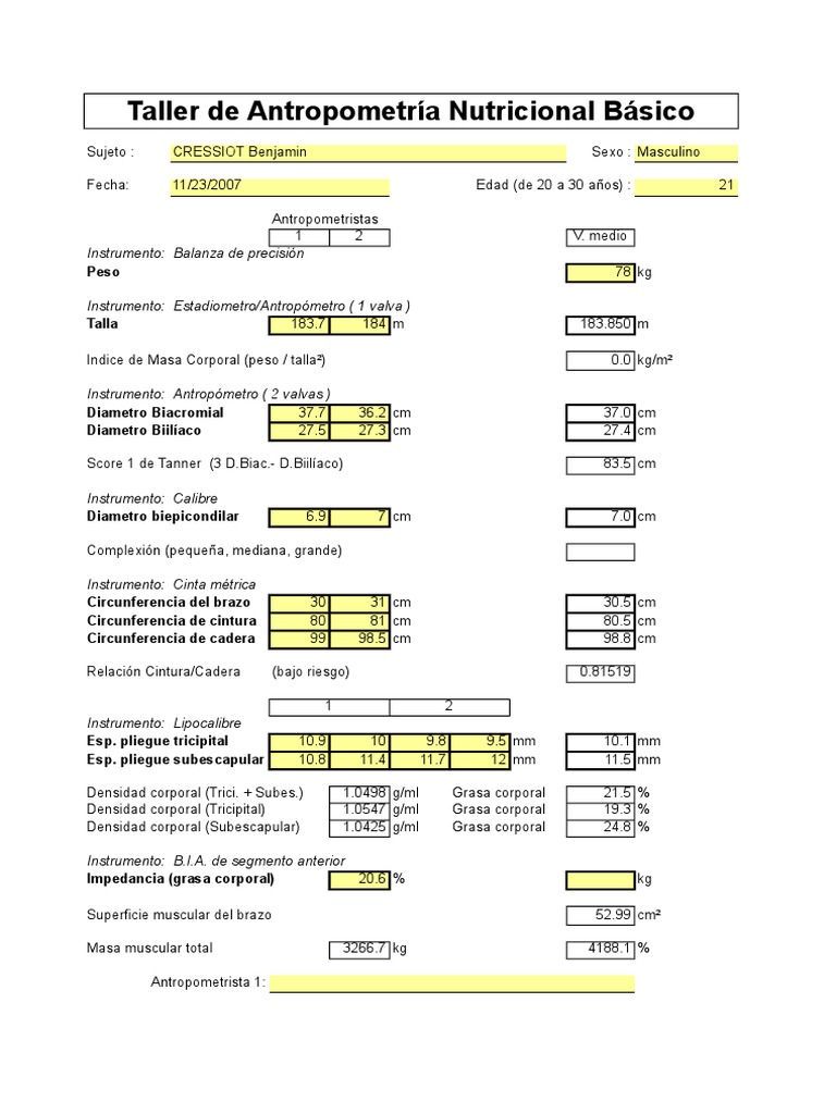 Antropometria Taller Basico | Tamaño humano | Cuerpo humano