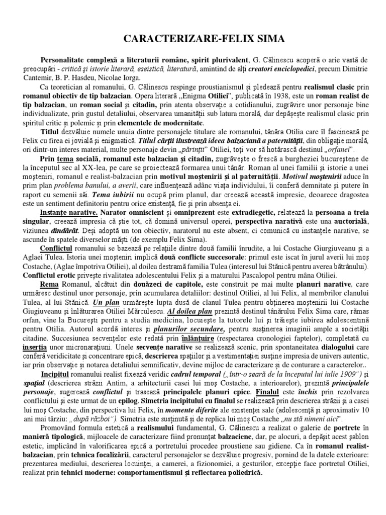 Caracterizare Felix Sima | PDF