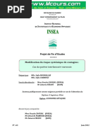 Gestion Des Risques Financiers - Cours Final | PDF | Risque financier | Risque