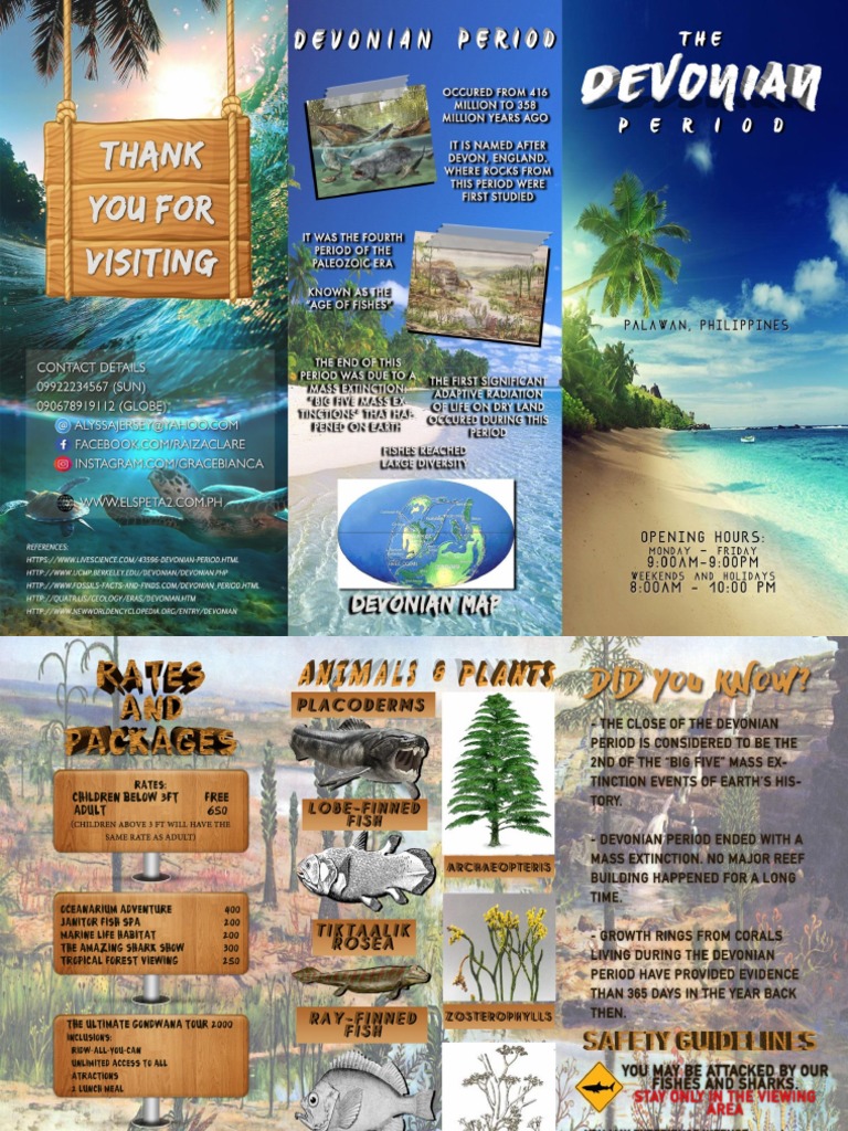 Devonian Period: Oceanic Anoxic Events | PDF