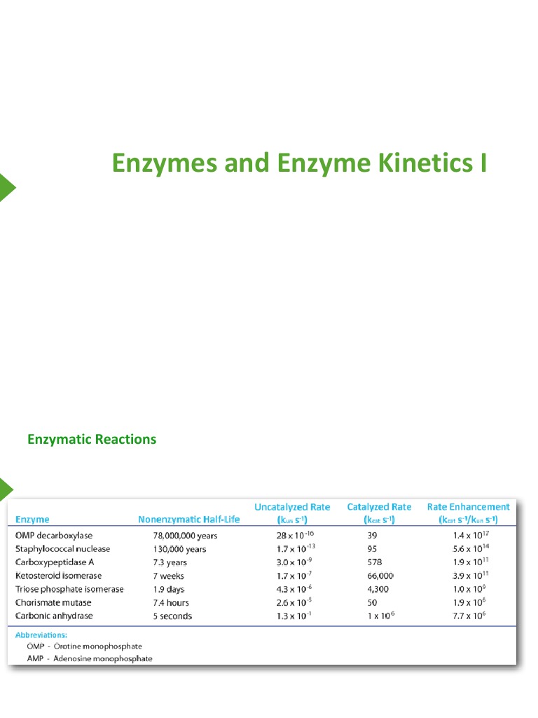 Enzymes and Enzyme Kinetics I | PDF | Enzyme | Active Site