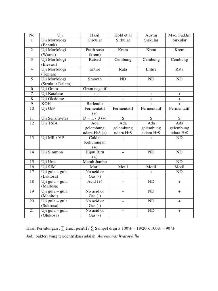 Api I - Kelompok 5 & 6 - BP - C - Tabel Hasil Identifikasi Bakteri ...