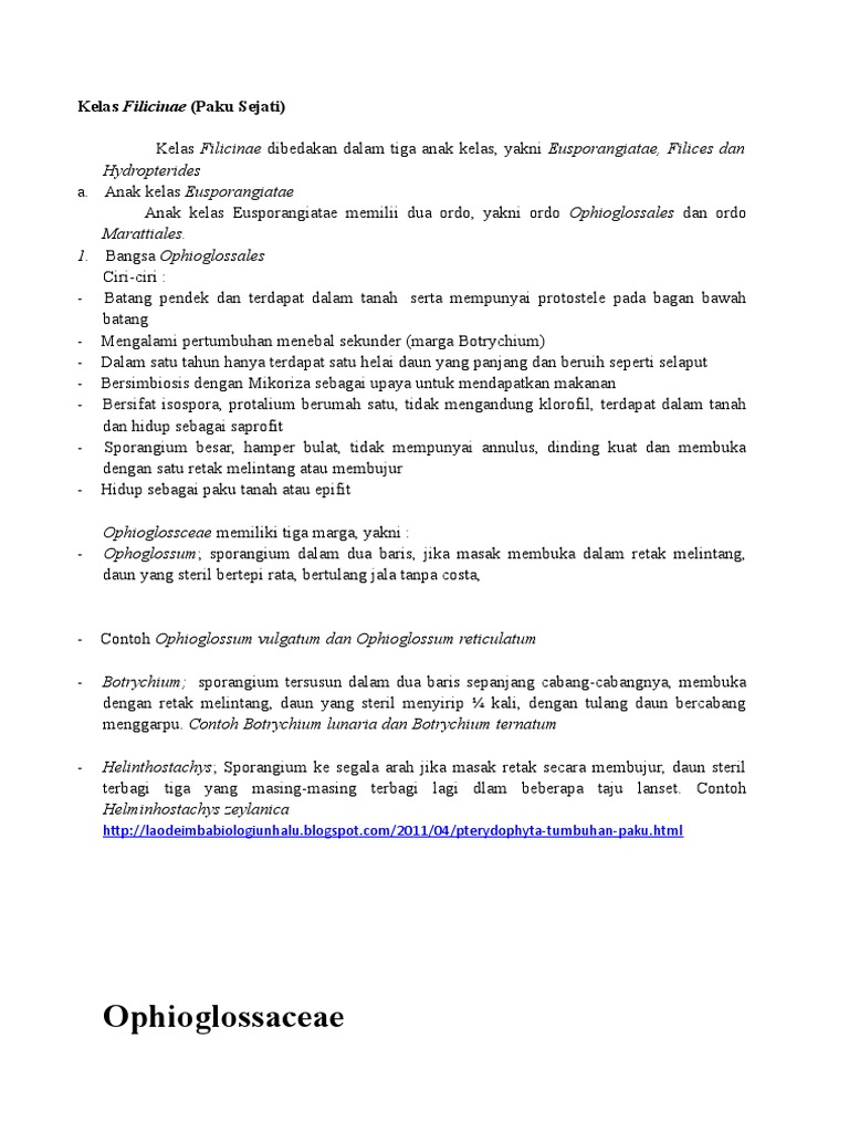 Kelas Filicinae | PDF