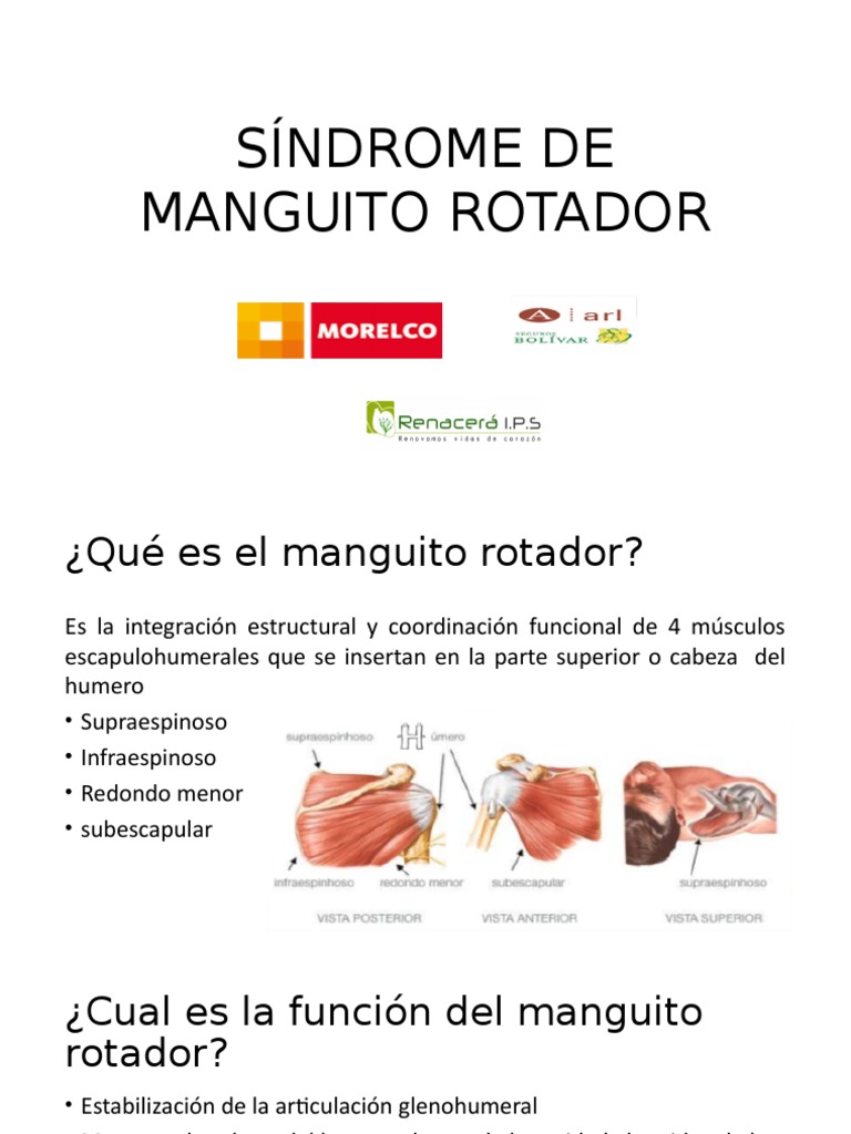 Lesiones del Manguito Rotador: Causas y Síntomas | PDF | Hombro ...