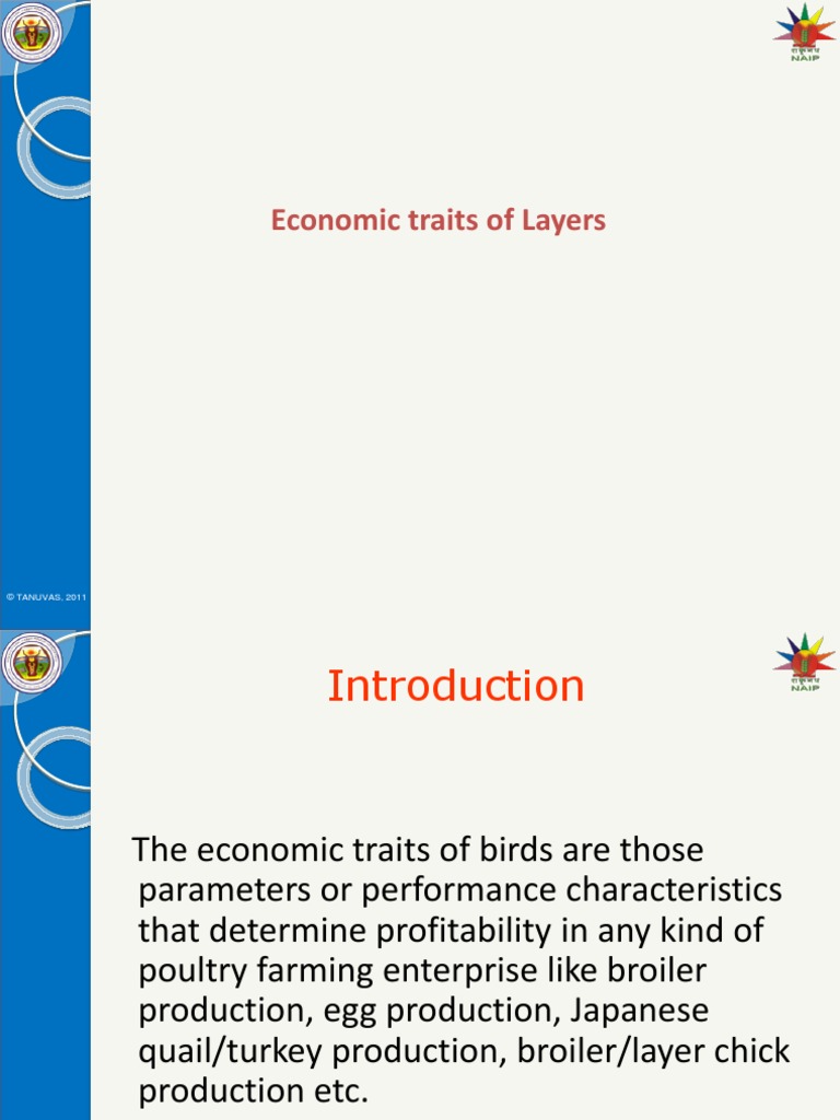 Theory-5 Economic Traits of Layers | Download Free PDF | Egg | Broiler