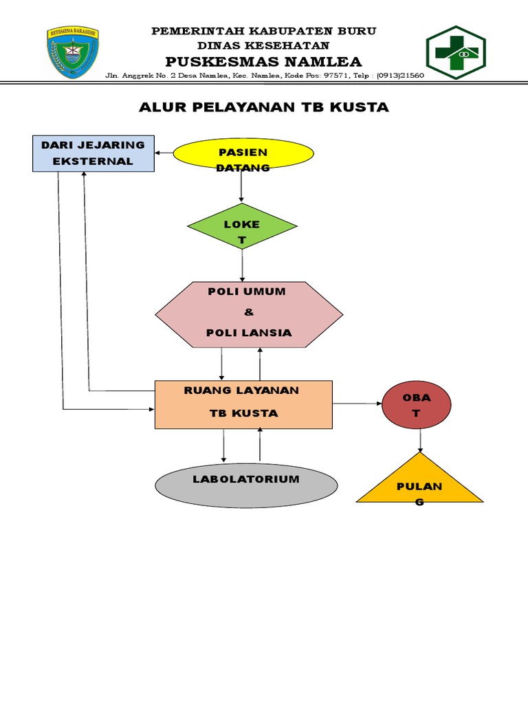 Alur Pelayanan TB Kusta | PDF
