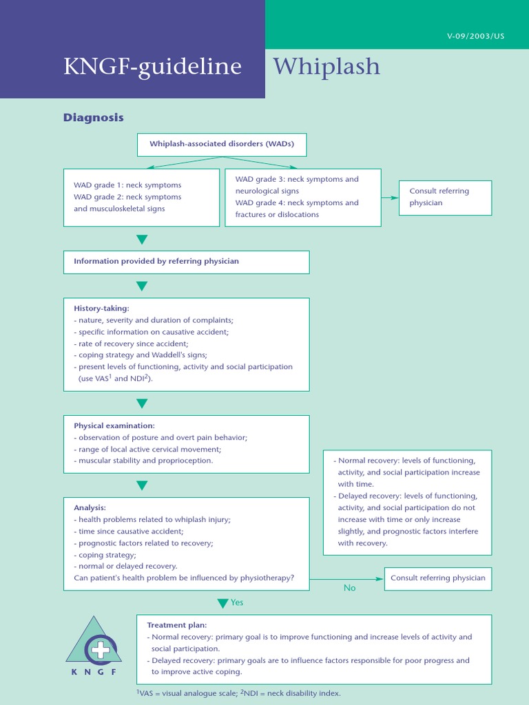 Whiplash Guidelines for Treatment and Recovery | PDF | Health Sciences ...