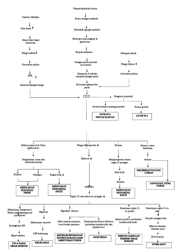 Pathway CKD | PDF
