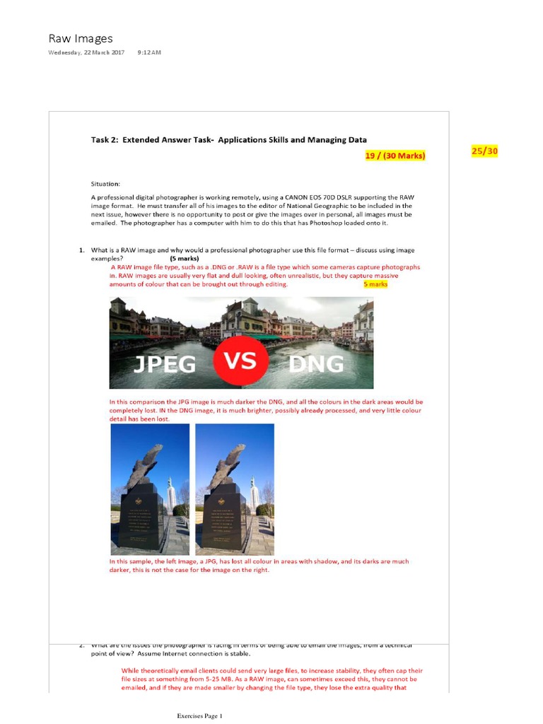 Understanding RAW Image Formats | PDF