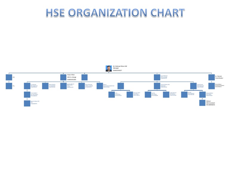 HSE Organization Chart | PDF | Violence
