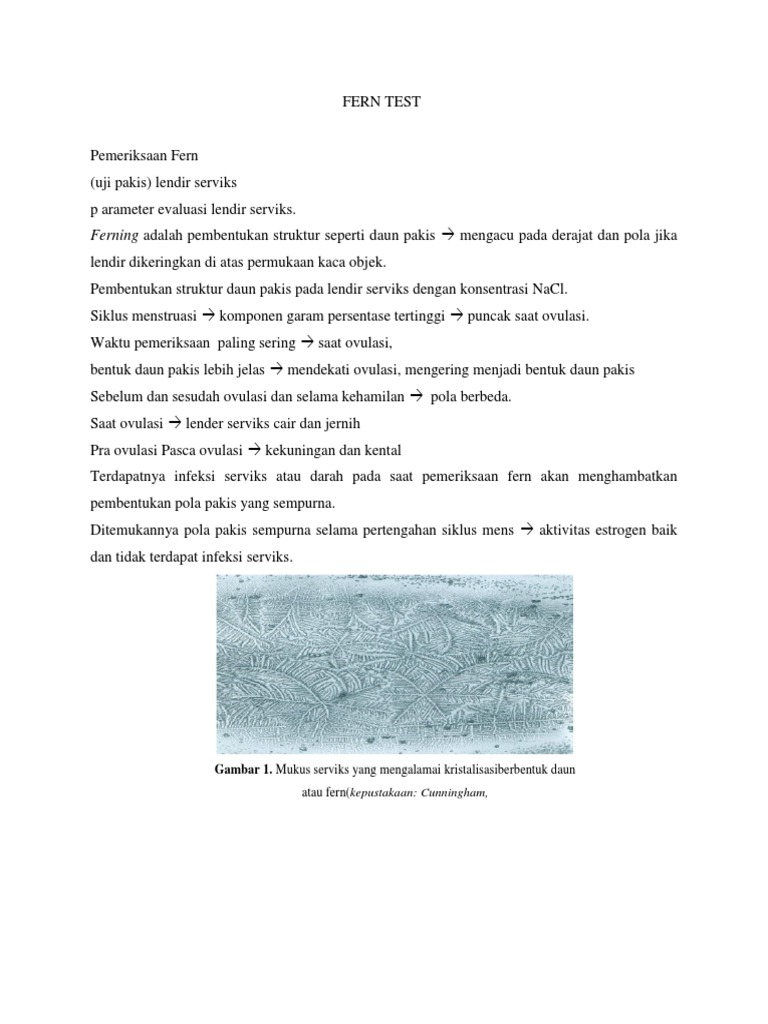 FERN TEST | PDF