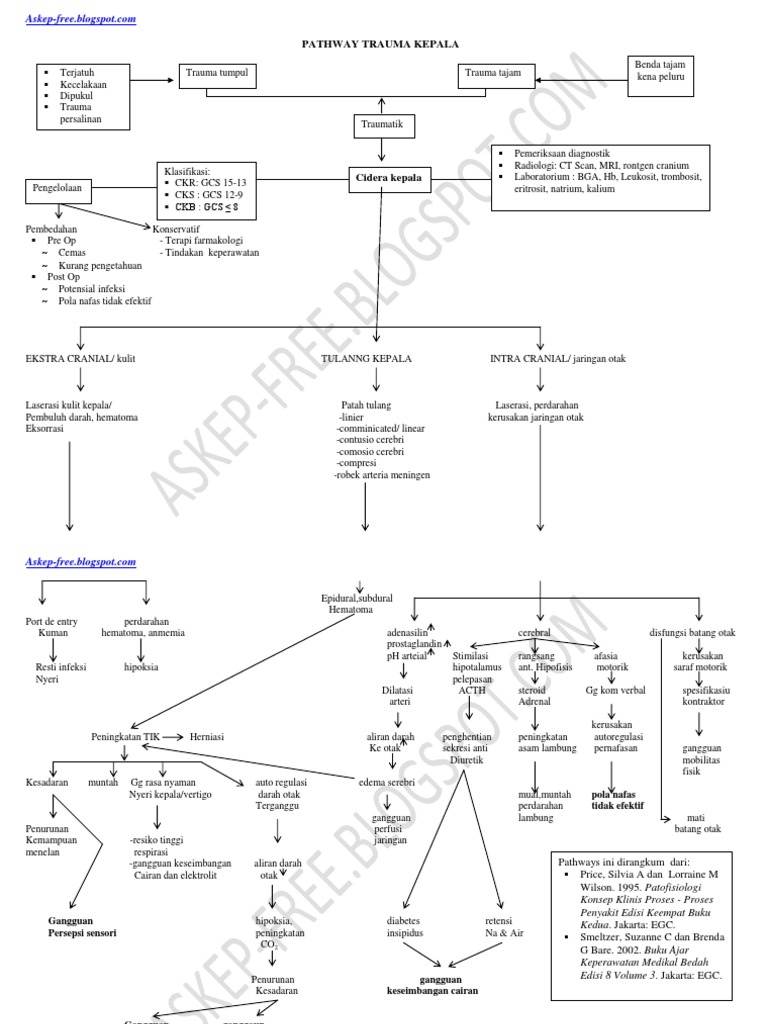 Pathway Trauma Kepala PDF | PDF