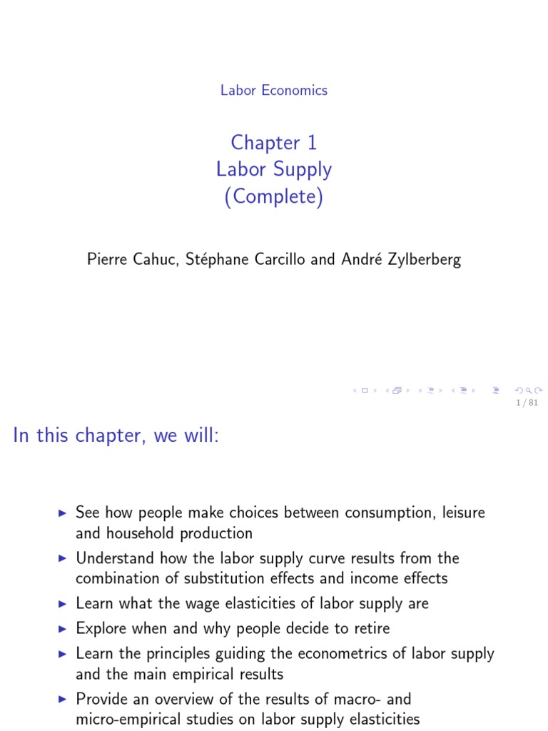 Lectures in Labor Economics | PDF | Labour Economics | Supply (Economics)