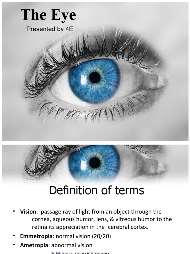 The Eye ppt | Retina | Human Eye