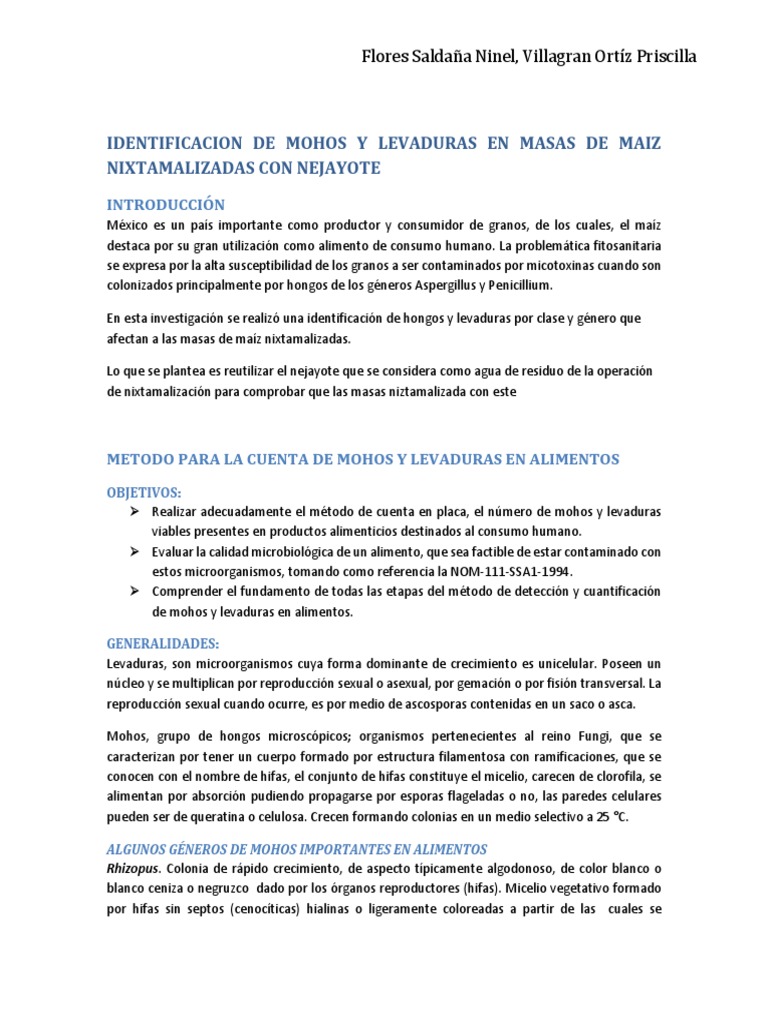 Identificacion de Mohos y Levaduras en Masas de Maiz Nixtamalizadas Con Nejayote | PDF | Hongo ...