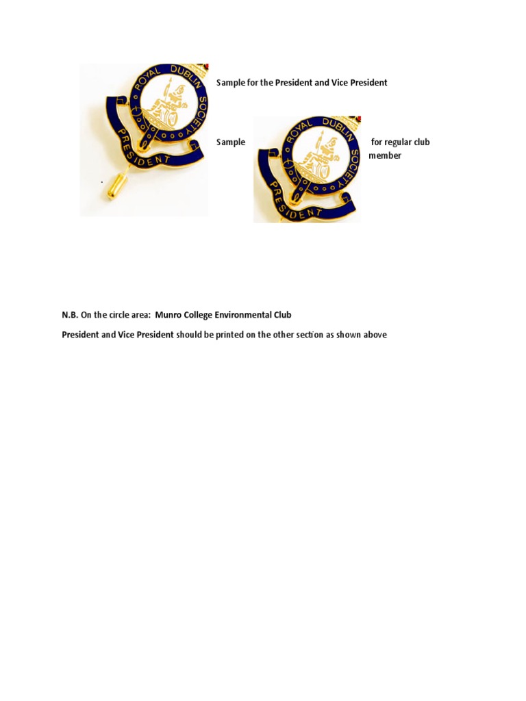 Sample For The President and Vice President | PDF