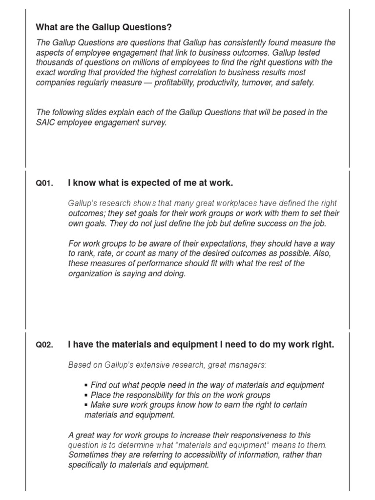 Gallup 12 (Roadmap To Great Place To Work) | PDF | Friendship ...