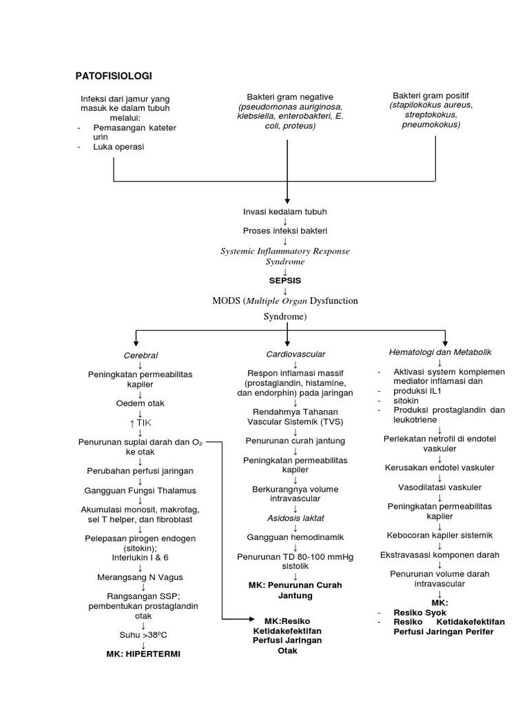 Patofisiologi Sepsis dan Syok Septik | PDF